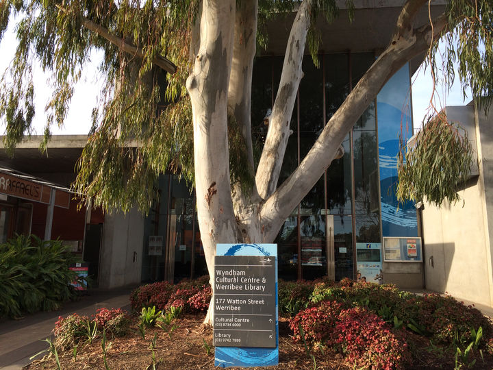 myWyndham | Connect. Interact. Discover.